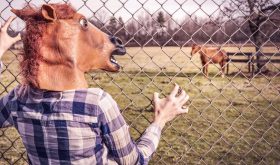 7 Tips and Ideas for Running a Successful Facebook Contest