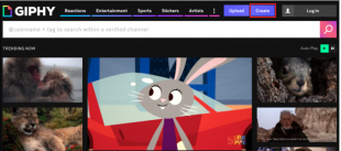 So erstellen Sie ein GIF – der komplette Leitfaden