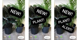 Instagram Story Hacks: 30 Tricks and Features You Should Know