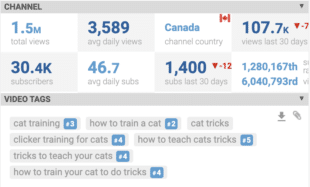 How to Use Tags on YouTube: A Step-by-Step Guide