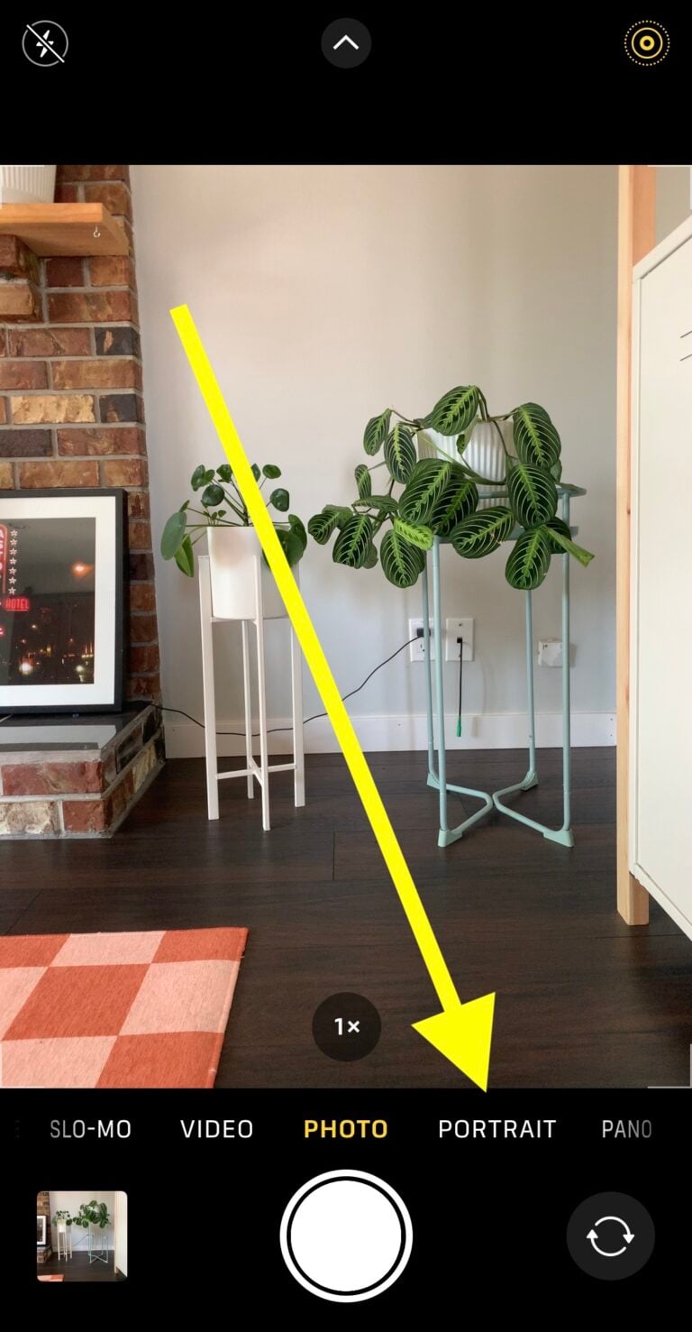 18 iPhone Photography Tips You Need to Know