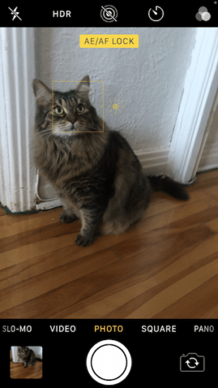 18 iPhone Photography Tips You Need to Know