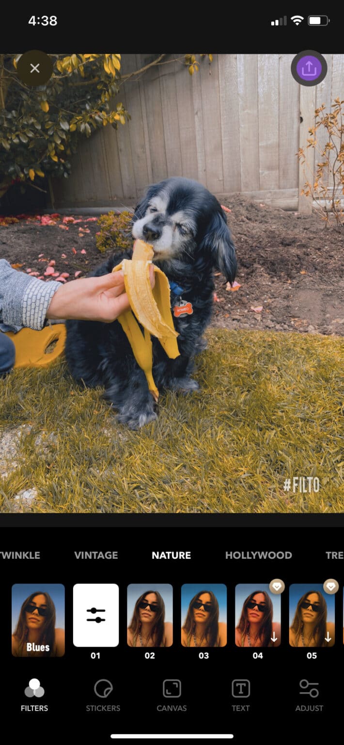 The 22 Best Instagram Editing Apps for 2024