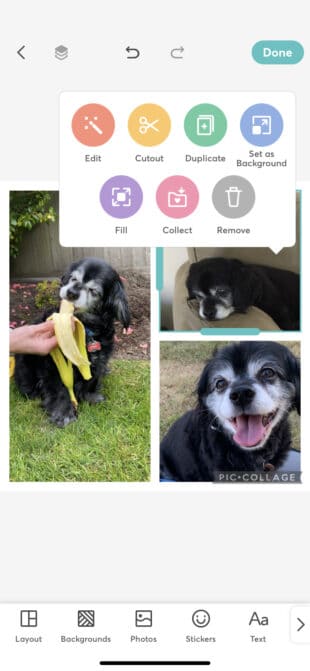 The 22 Best Instagram Editing Apps for 2024