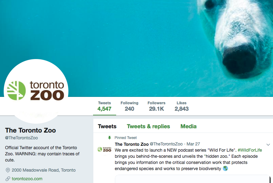 How to Write a Good Twitter Bio: Tips, Ideas, and Examples