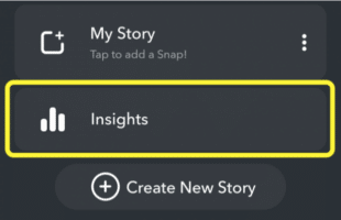 Snapchat Insights: How to Use the Analytics Tool (And What to Track)