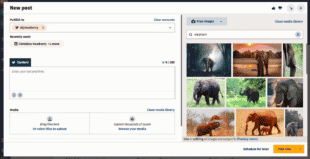 Can I Use This Photo on Social Media? Understanding Image Copyright