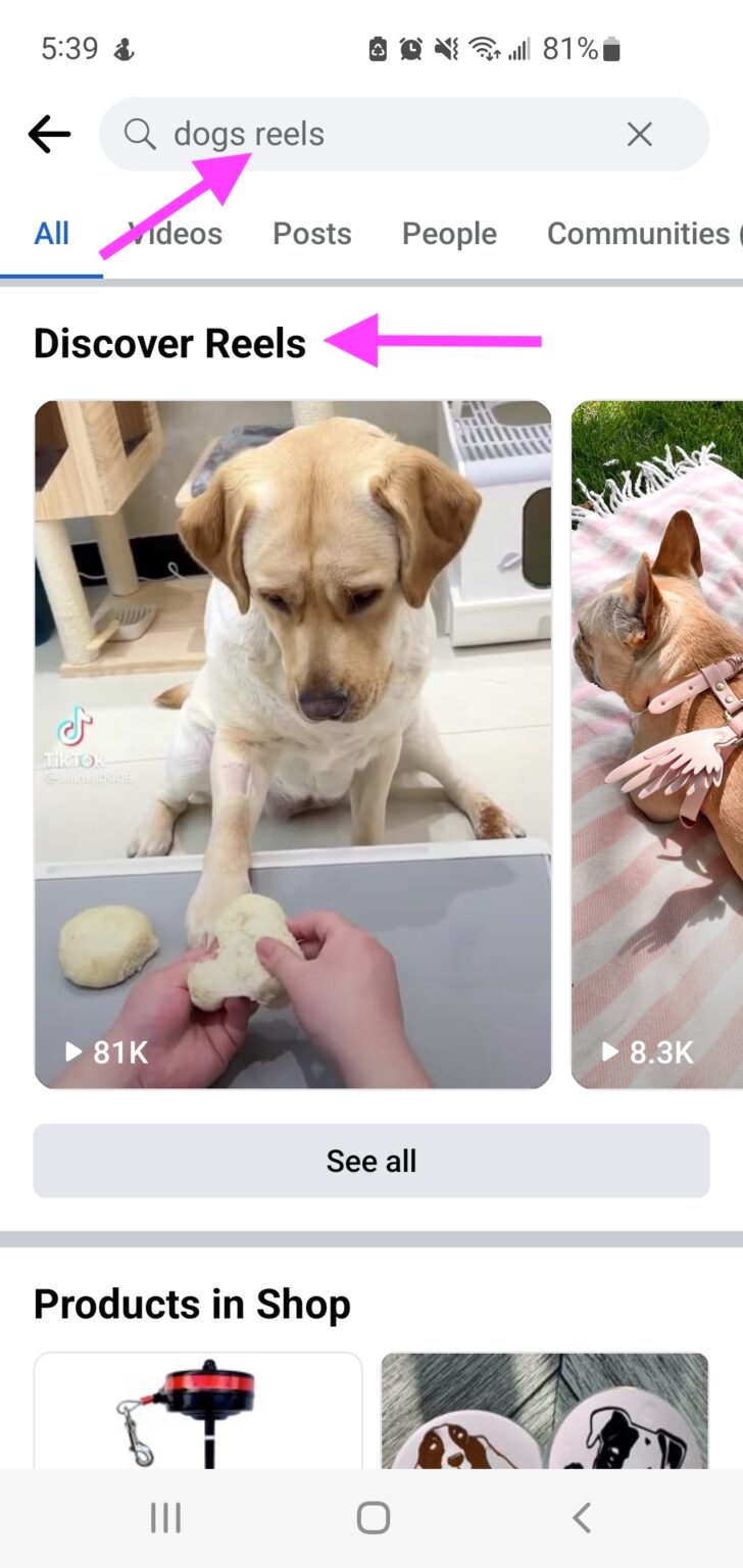 How To Make Facebook Reels That Attract an Audience