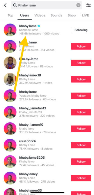 How To Search on TikTok for Just About Anything