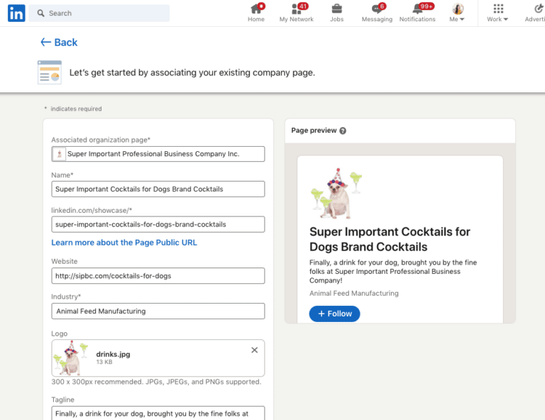 Why You Need LinkedIn Showcase Pages [2022 Set Up Guide] - Amplitude ...