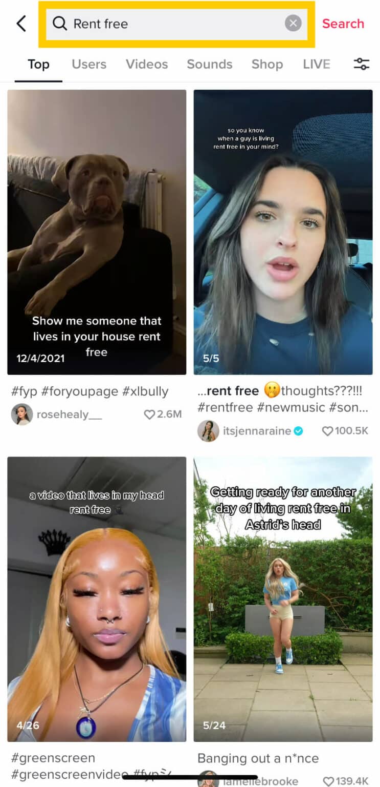 How To Search on TikTok for Just About Anything