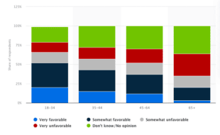 24 Twitter Demographics That Matter to Marketers in 2024