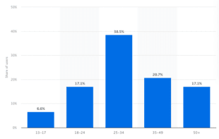 24 Twitter Demographics That Matter to Marketers in 2024