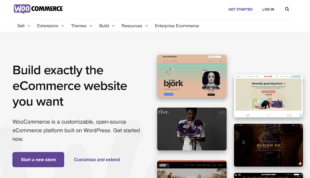 The 4 Best Ecommerce Platforms for Selling in 2023 - Amplitude Marketing
