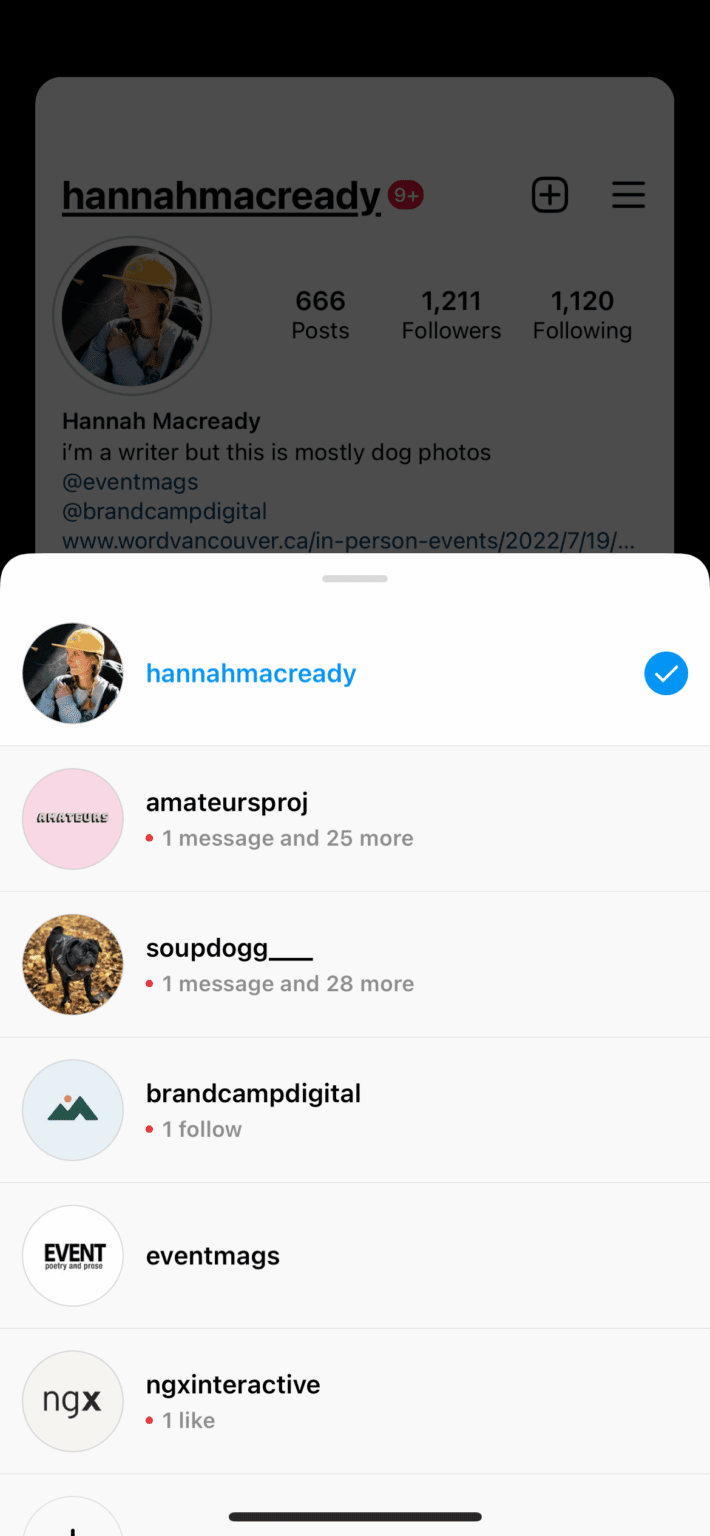 How to Add Multiple Instagram Accounts and Manage Them (Without Crying ...