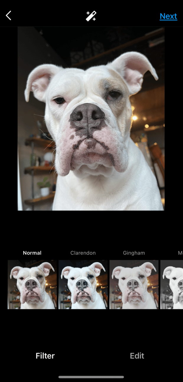 Why Instagram Alt Text Matters (And How To Use It)
