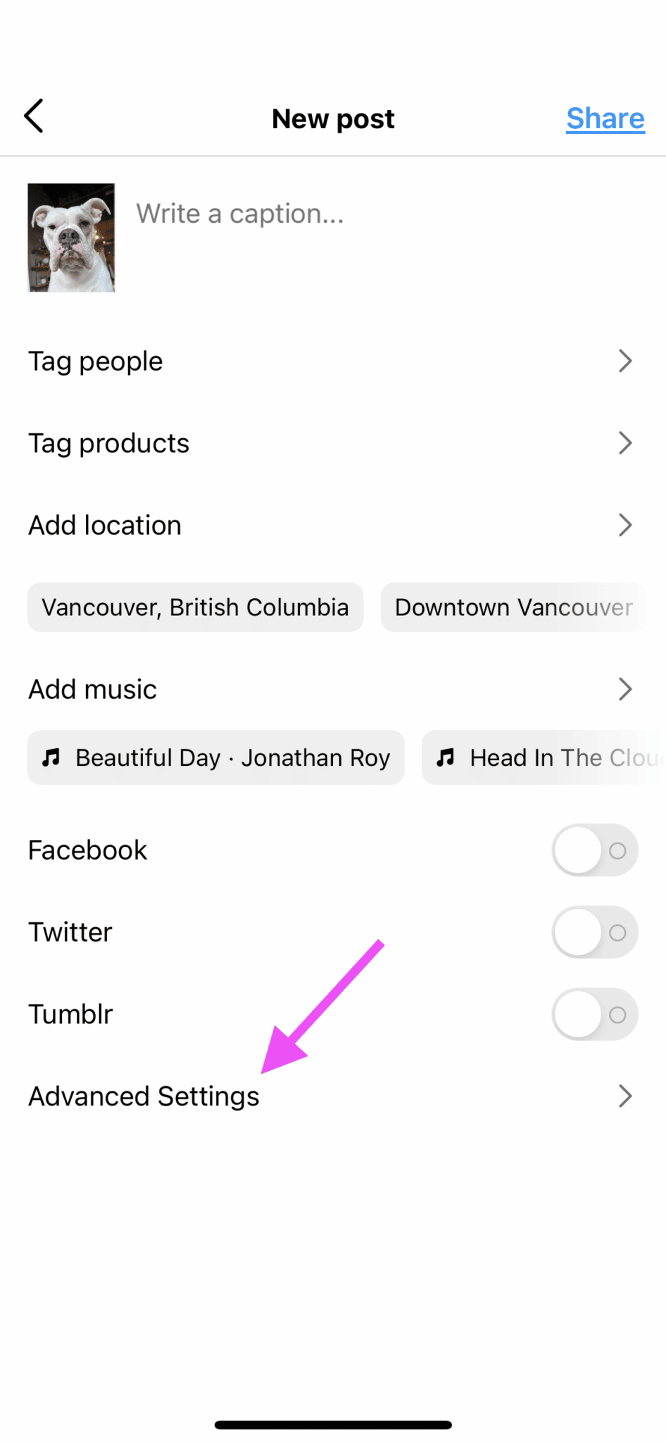 Why Instagram Alt Text Matters (And How To Use It)