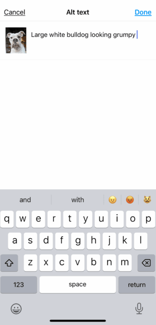 Why Instagram Alt Text Matters (And How To Use It)