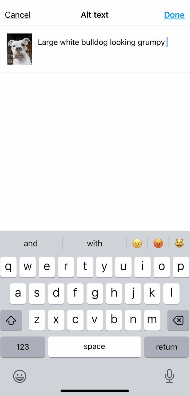 Why Instagram Alt Text Matters (And How To Use It)
