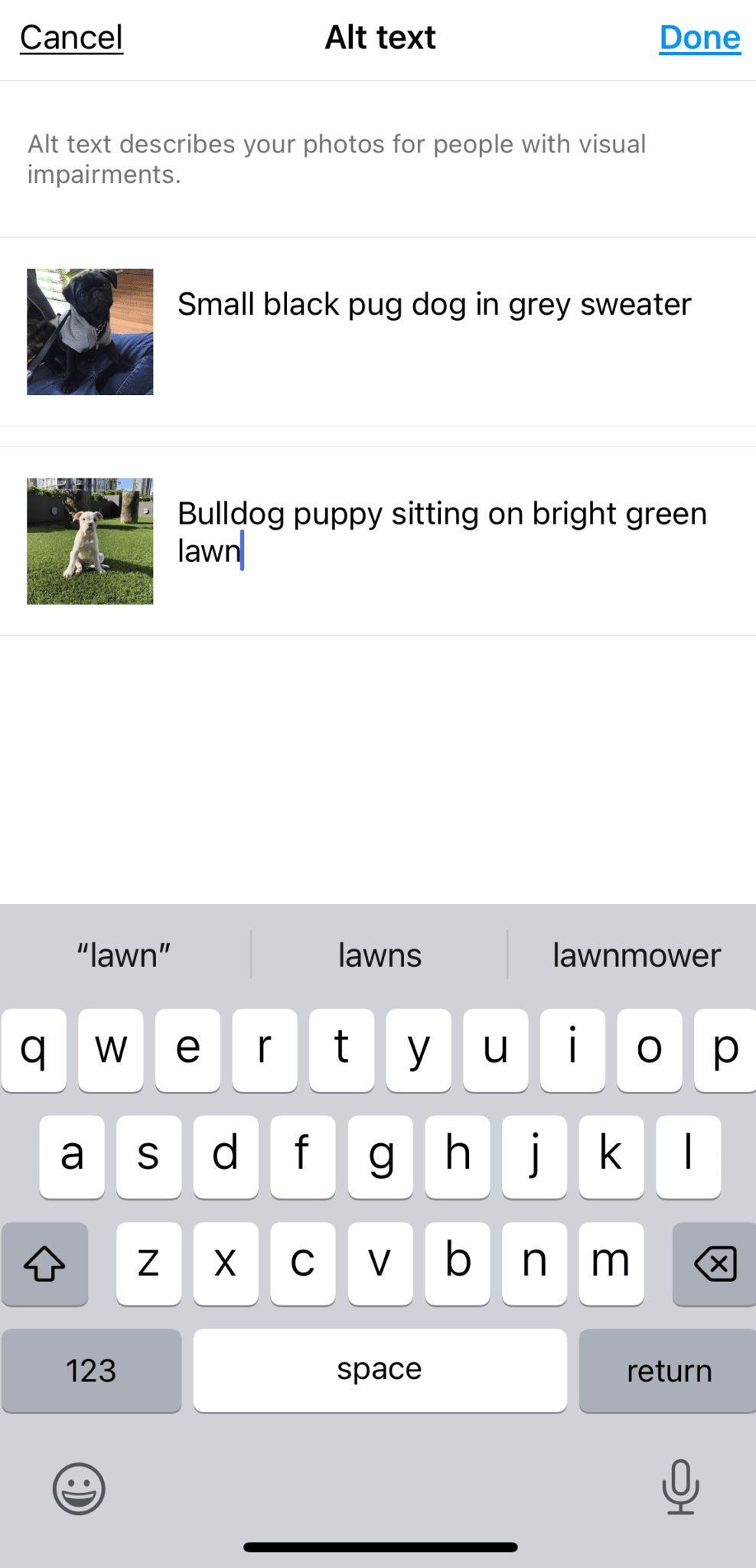 Why Instagram Alt Text Matters (And How To Use It) Why Instagram Alt Text Matters (And How To Use It)