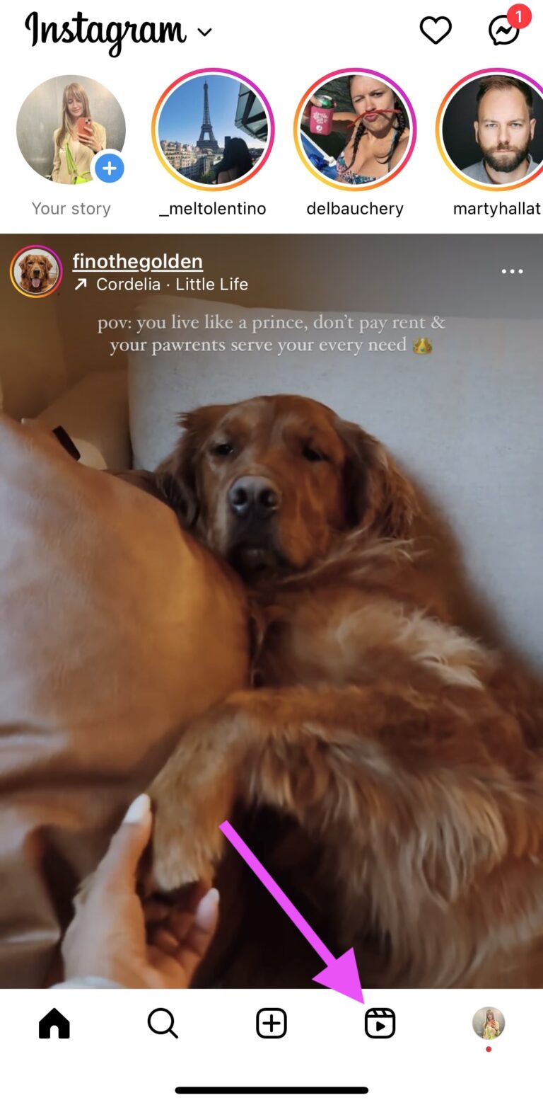 How to Find, Use, and Create Instagram Reel Templates