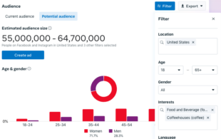 How to use Facebook audience insights for cost-effective ads