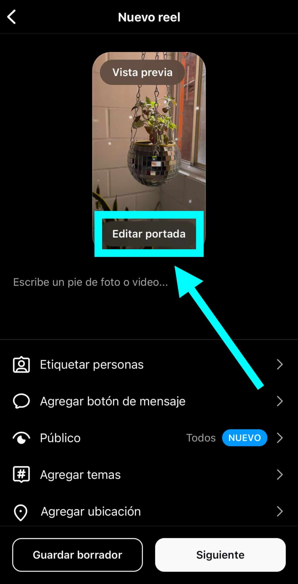 Reels de Instagram en 2024: una guía completa para empresas