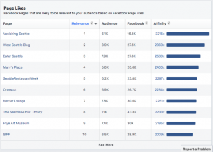 How to Use Facebook Audience Insights for Precise Ad Targeting