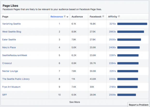 How to Use Facebook Audience Insights for Precise Ad Targeting