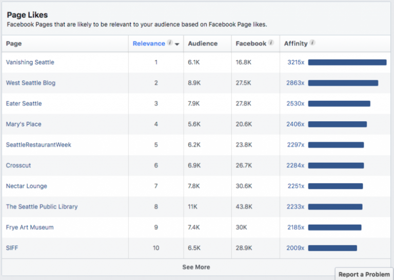 How to Use Facebook Audience Insights for Precise Ad Targeting