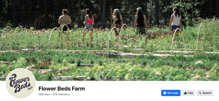 Facebook SEO: 15 tactics for better visibility in 2024