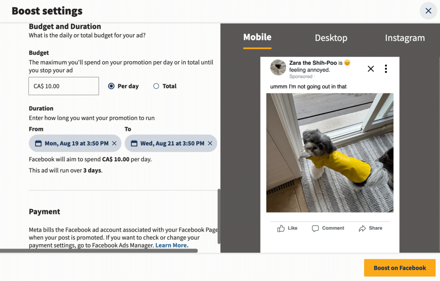 Facebook Boosted Posts: Expert Tips for Great Results [2024]