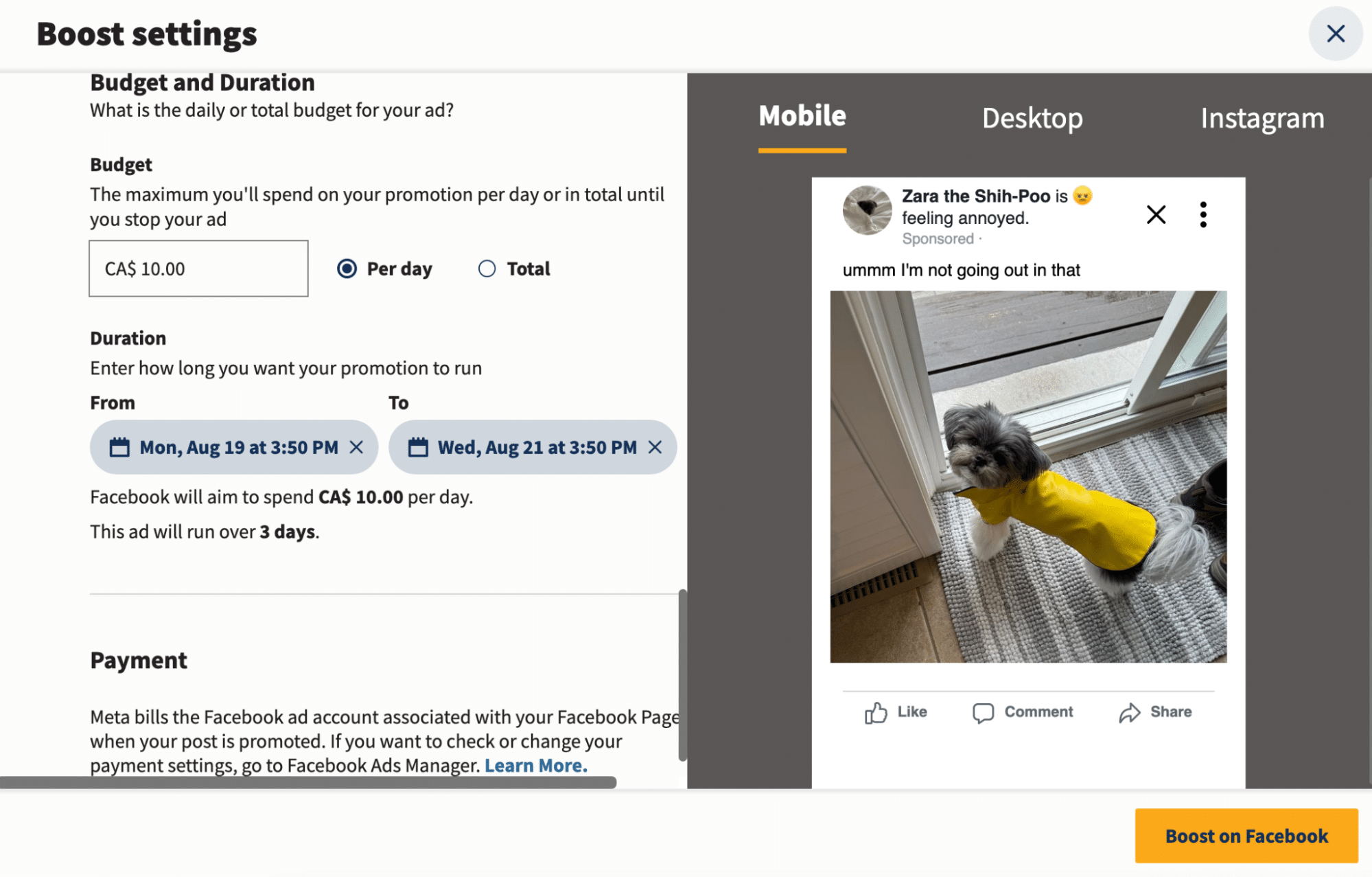 Facebook Boosted Posts: Expert Tips for Great Results [2024]