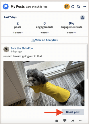 Facebook Boosted Posts: Expert Tips for Great Results [2024]