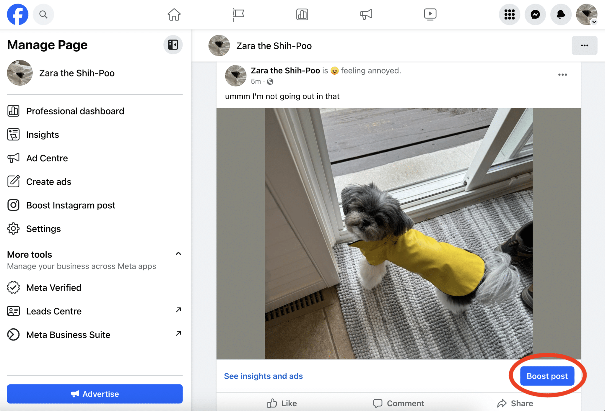 Facebook Boosted Posts: Expert Tips for Great Results [2024]
