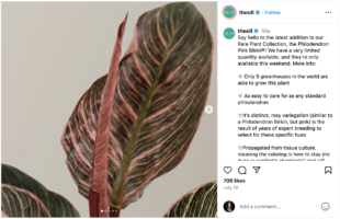 40 social media post ideas when you’re fresh out of inspiration