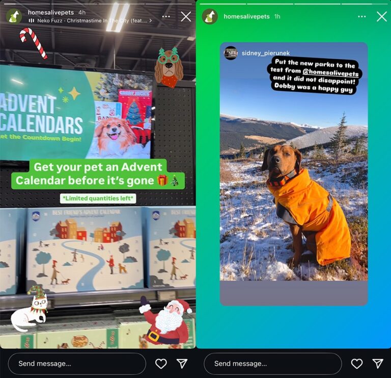 21 Instagram best practices for ads and organic content [2025]