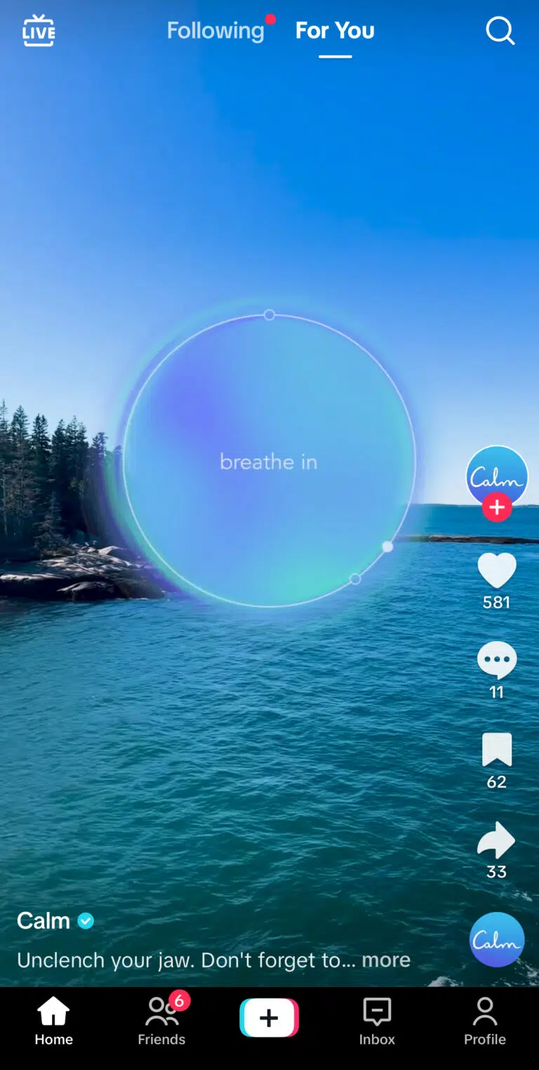 How to get on the TikTok FYP (For You Page): 20 expert hacks ...