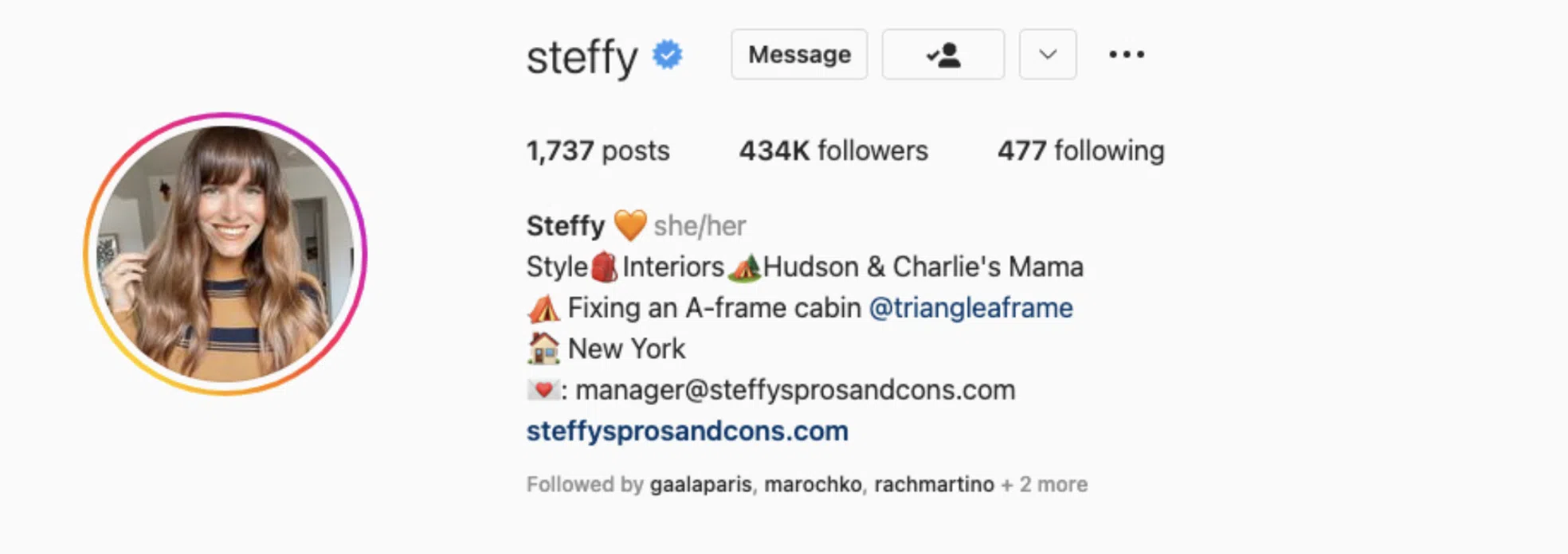 100+ Instagram bio ideas [+ free bio generator and templates]