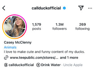 100+ Instagram bio ideas [+ free bio generator and templates]