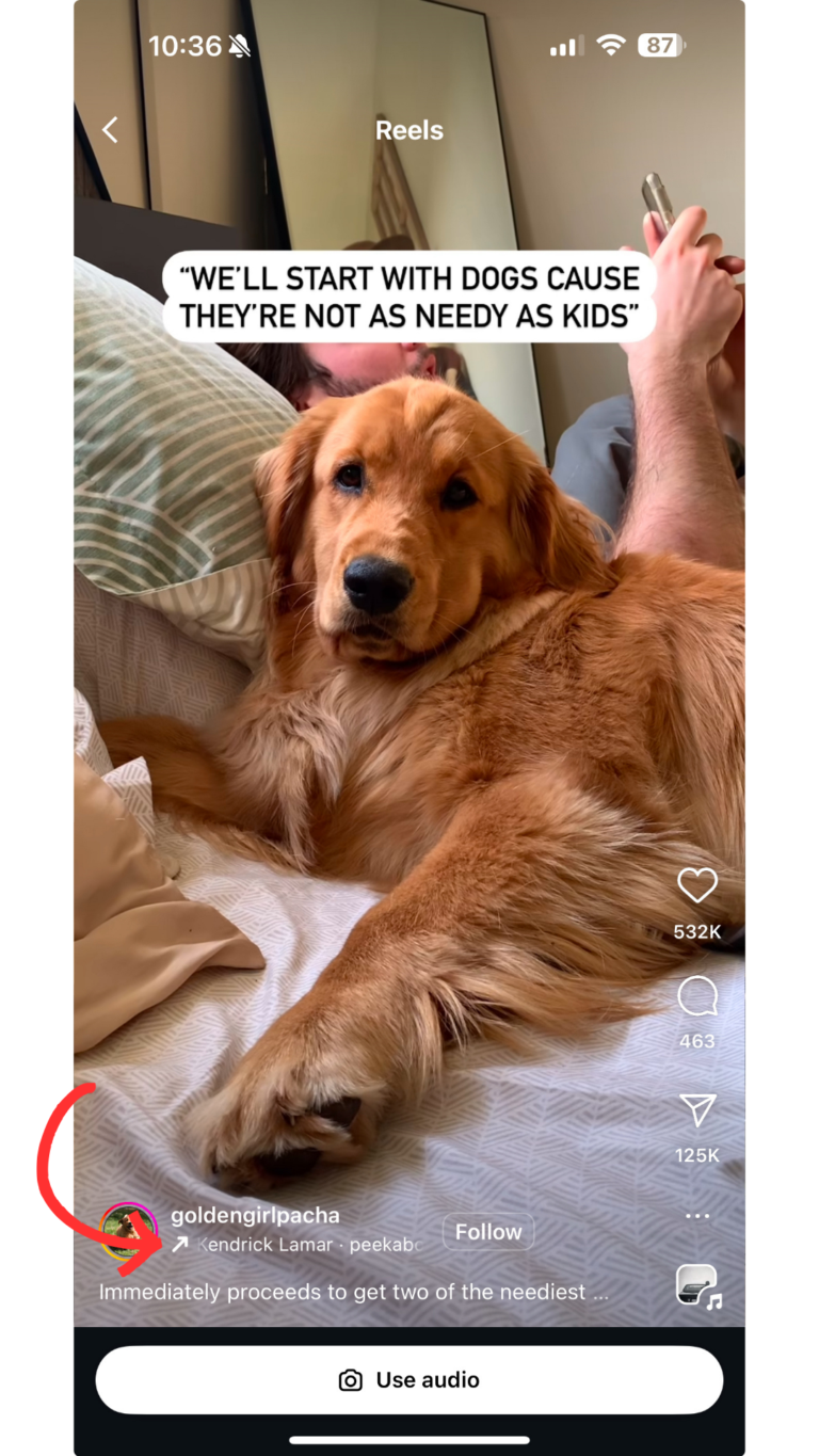 40 Instagram hacks that will grow your account in 2025