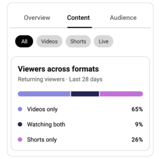 YouTube analytics: Tools and tips for marketers [2025] - Amplitude ...