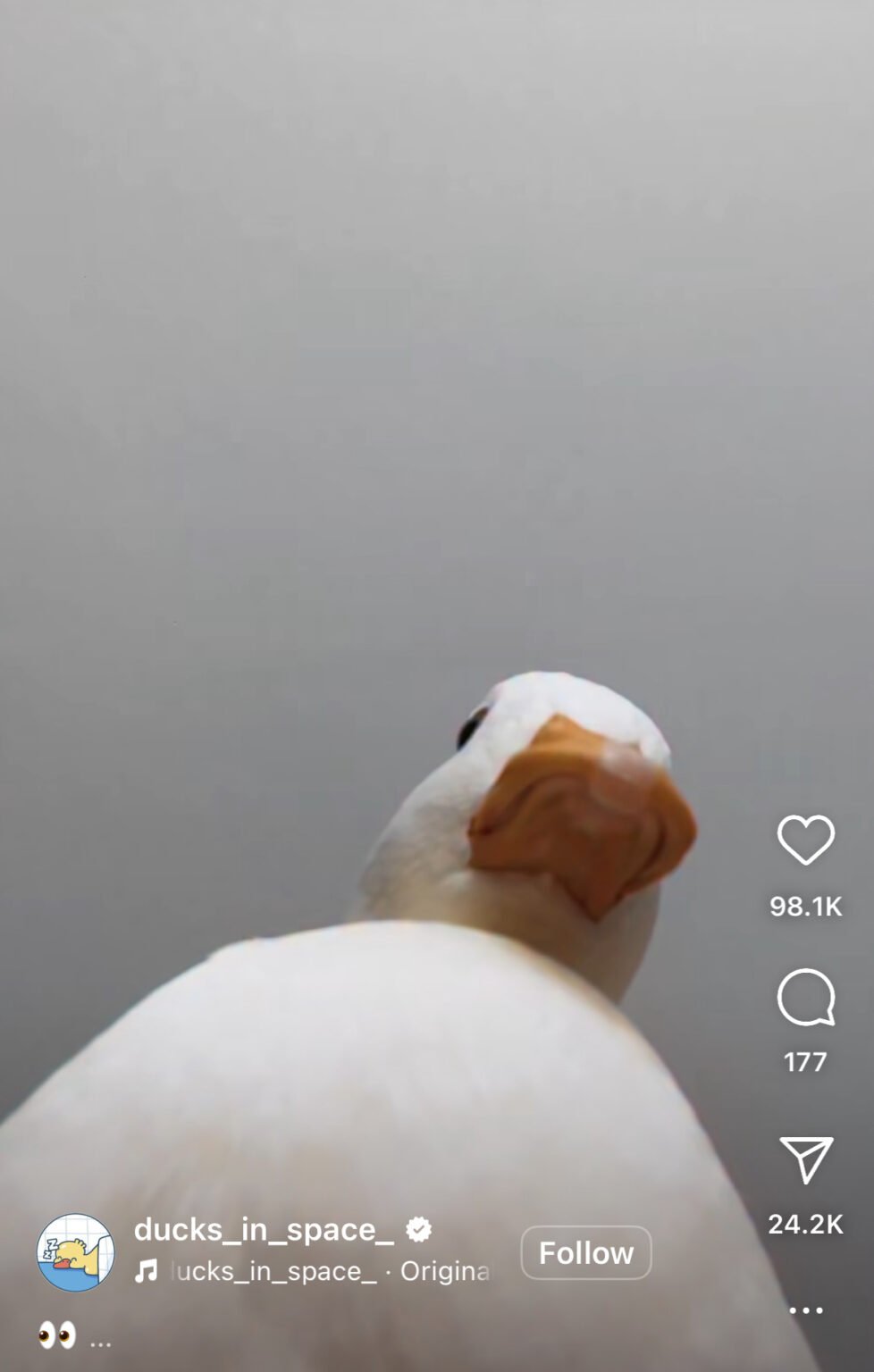 Instagram algorithm tips for 2025: Everything you need to know - Amplitude Marketing