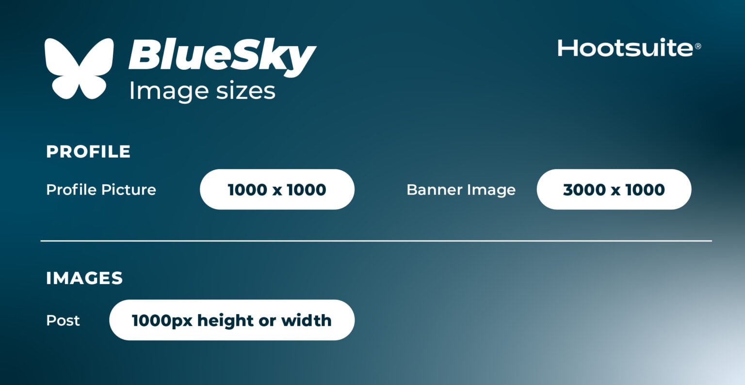 Social media image sizes for all networks [February 2026] - Amplitude ...