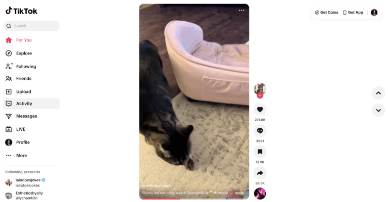 TikTok desktop: How to use and post TikToks from your computer